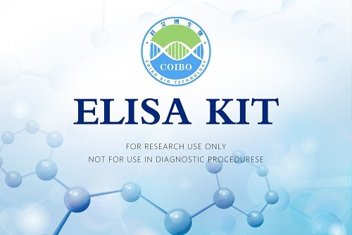 人β-防御素130（HBD-130）ELISA检测试剂盒-上海科艾博生物官网-高品质ELISA试剂盒厂家-COIBO BIO-上海科艾博生物 ...